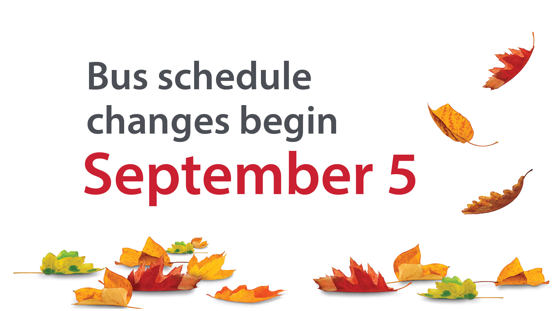 Service Updates